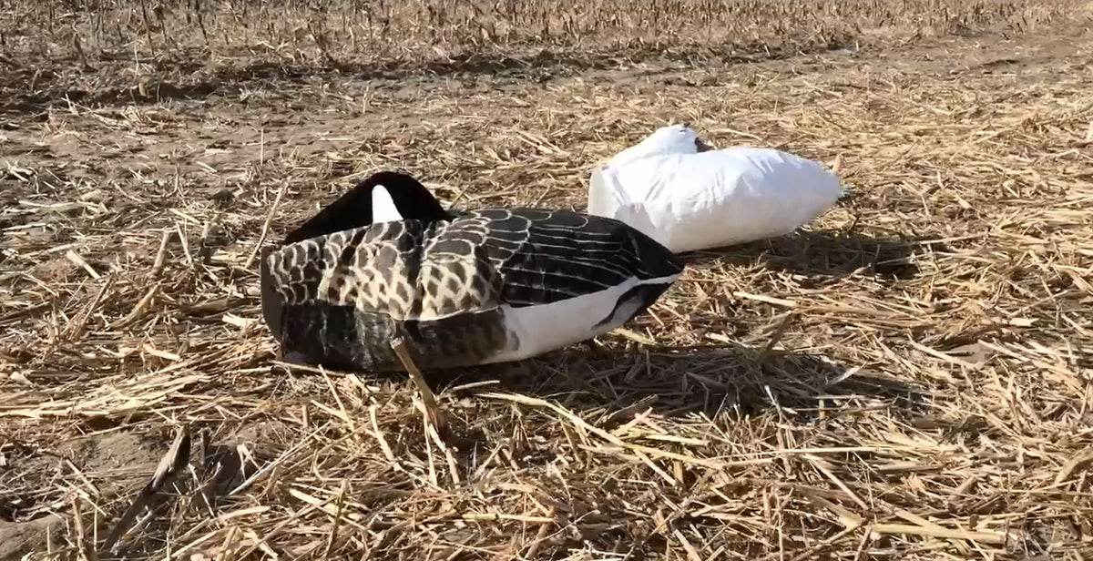 Homemade Goose Silhouette Decoys