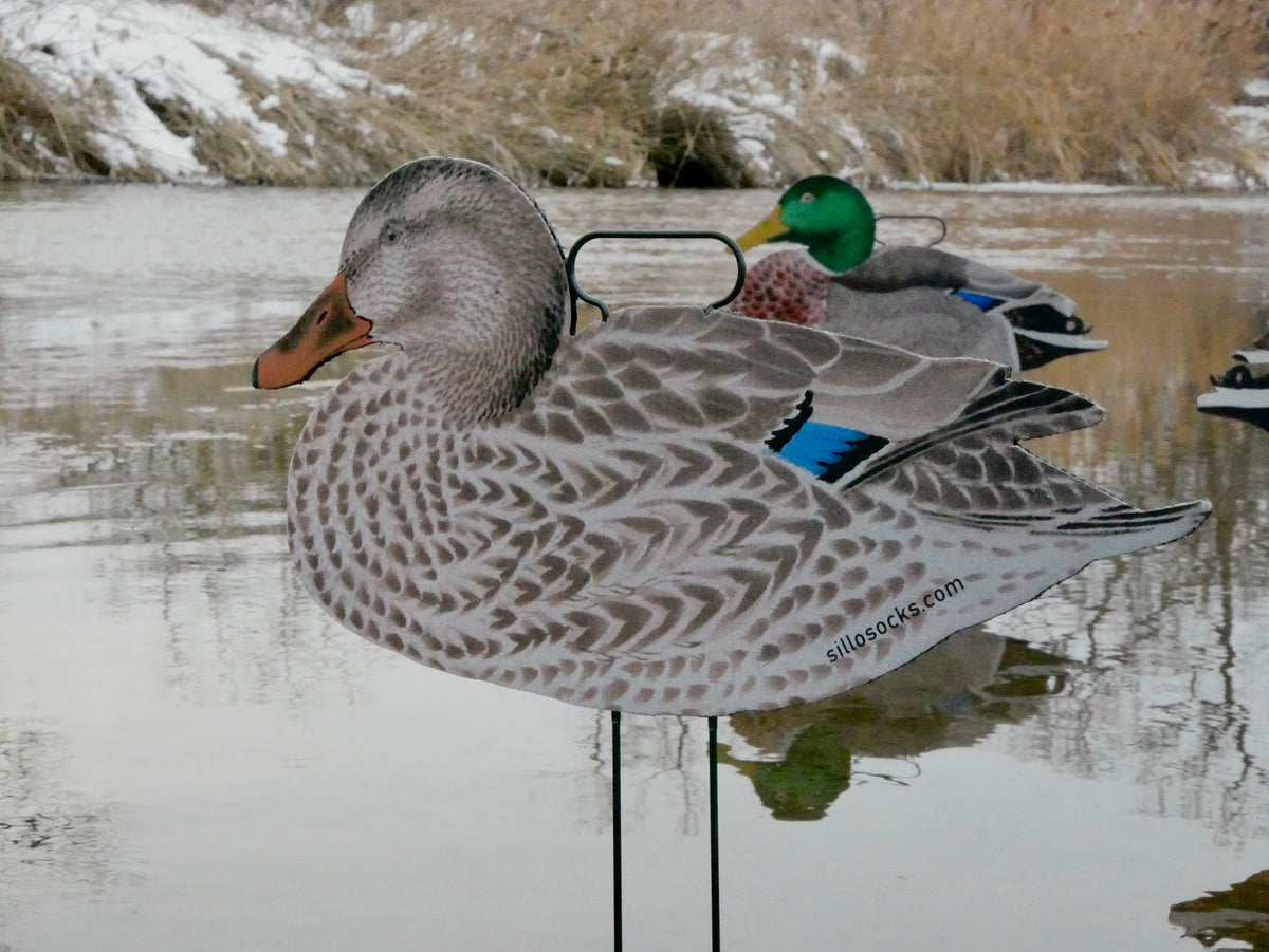 Fully Flocked Mallard Silhouettes - Dozen – SilloSocks