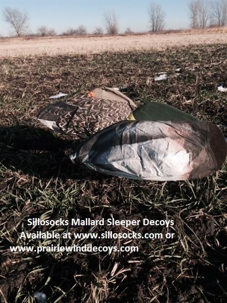Sleeper Mallard Duck Windsocks - Dozen – SilloSocks