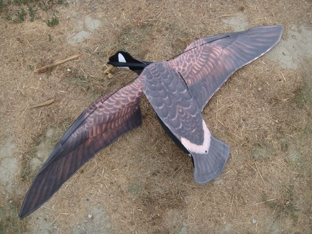 Realistic Flying Canada Goose Motion Decoy – SilloSocks