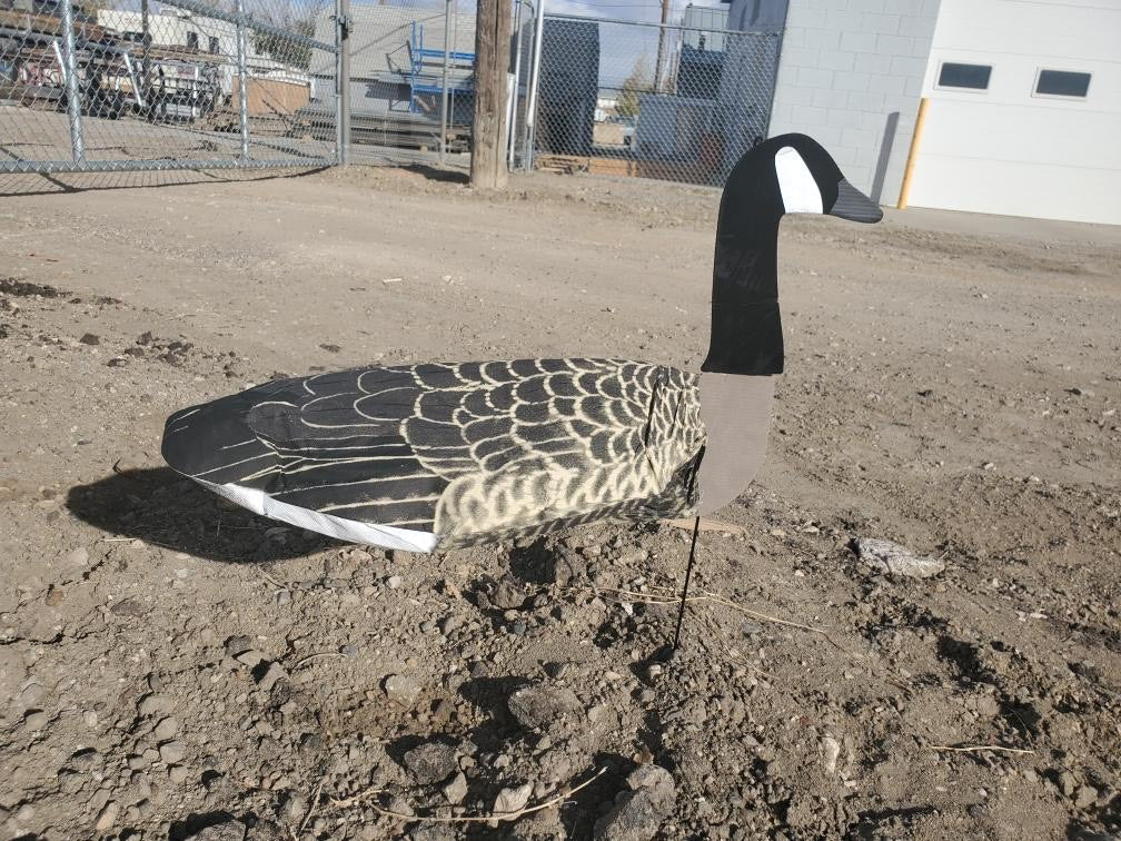 2-D Sentry Canada Goose Windsocks - Dozen – SilloSocks